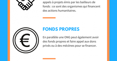 Organigramme d’une ONG – Périple Humanitaire